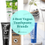 5 Best Vegan Toothpaste Brands - Ekolojist.net